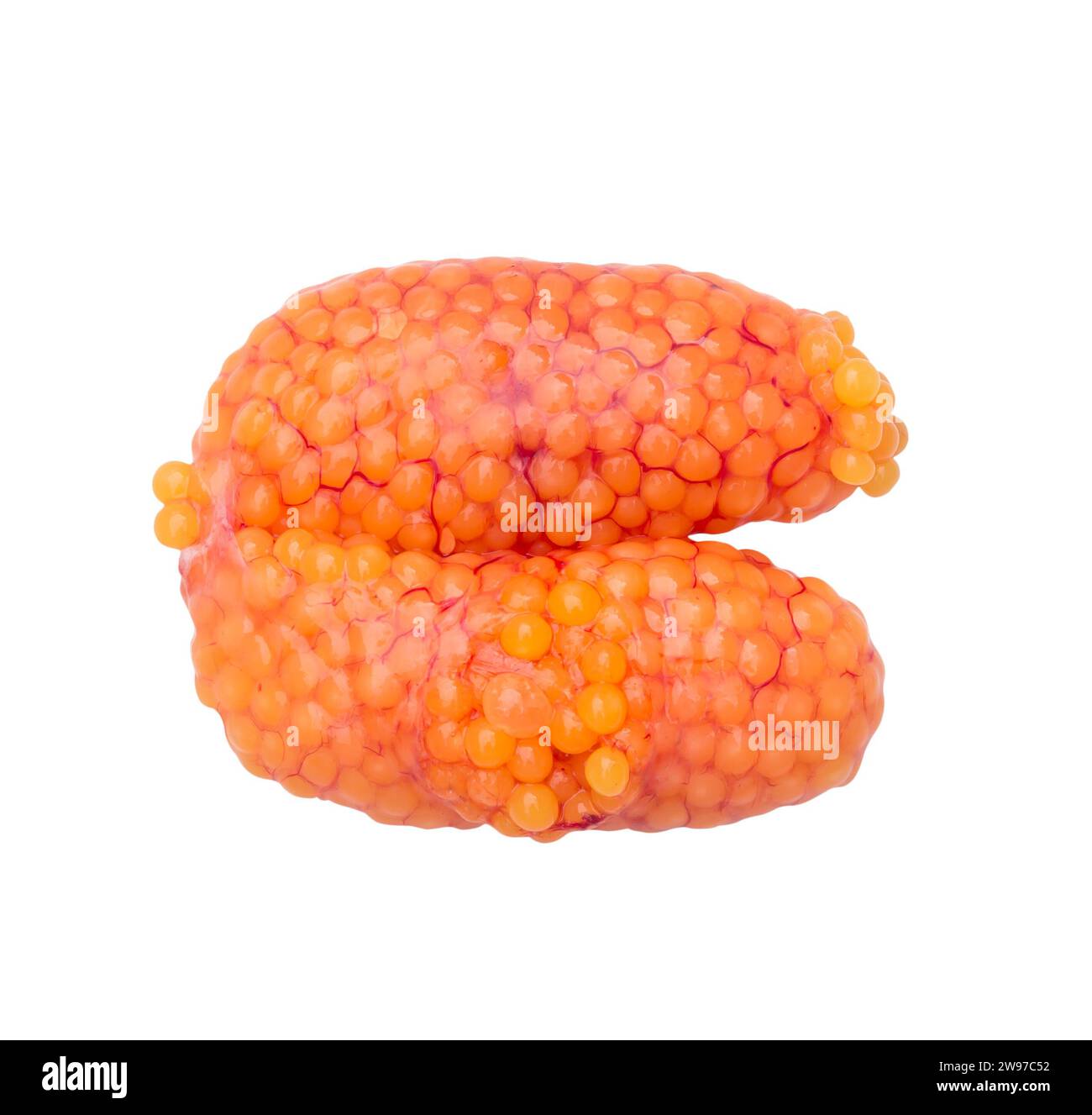Fresh orange caviar fish roe is isolated on white background with ...