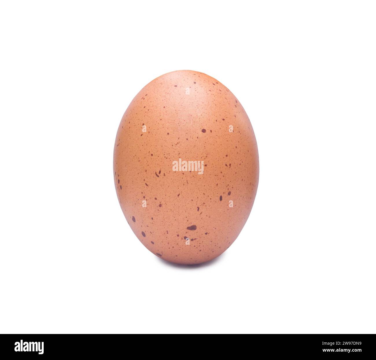 Single fresh organic egg standing with spots is isolated on white ...