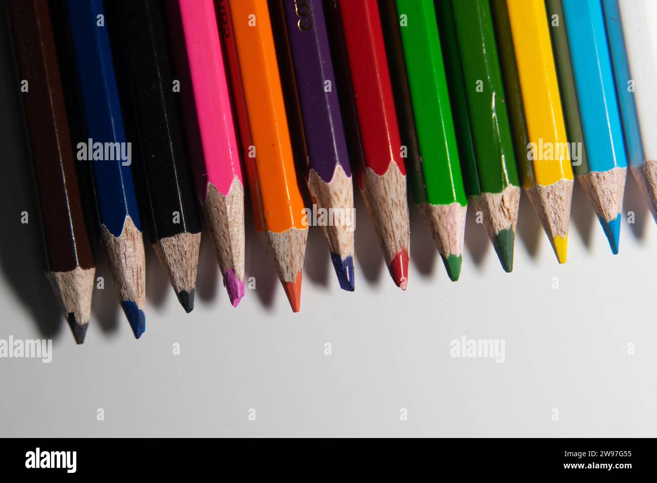 "Diving into a world of vibrant hues and creative bliss with these ...