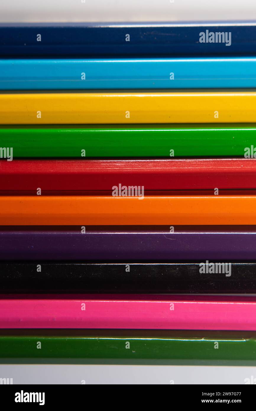 "Diving into a world of vibrant hues and creative bliss with these ...