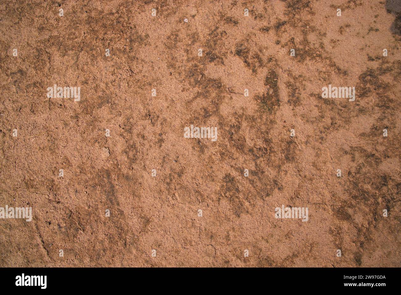 Cow Dung brown plaster of soil abstract Texture Background Countryside ...