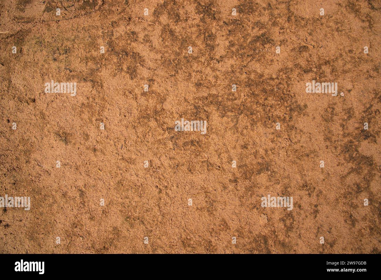 Cow Dung brown plaster of soil abstract Texture Background Countryside ...