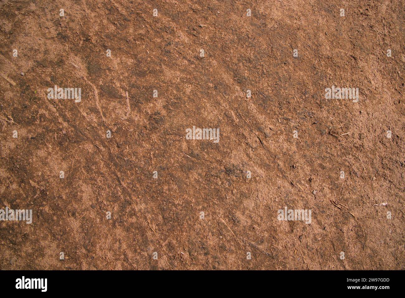 Cow Dung brown plaster of soil abstract Texture Background Countryside ...