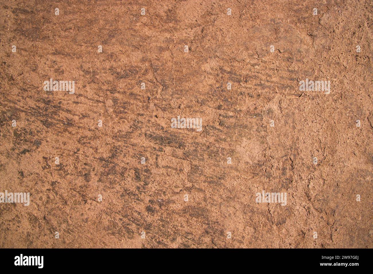 Cow Dung brown plaster of soil abstract Texture Background Countryside ...