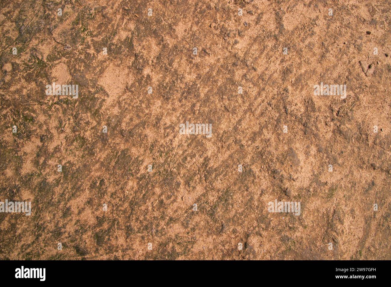 Cow Dung brown plaster of soil abstract Texture Background Countryside ...
