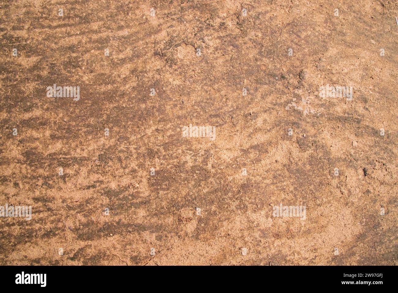 Cow Dung brown plaster of soil abstract Texture Background Countryside ...