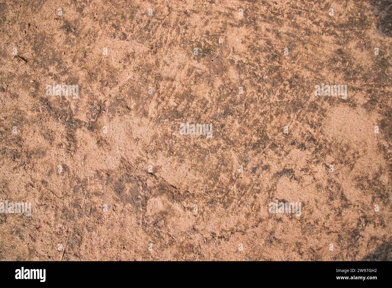 Cow Dung brown plaster of soil abstract Texture Background Countryside ...