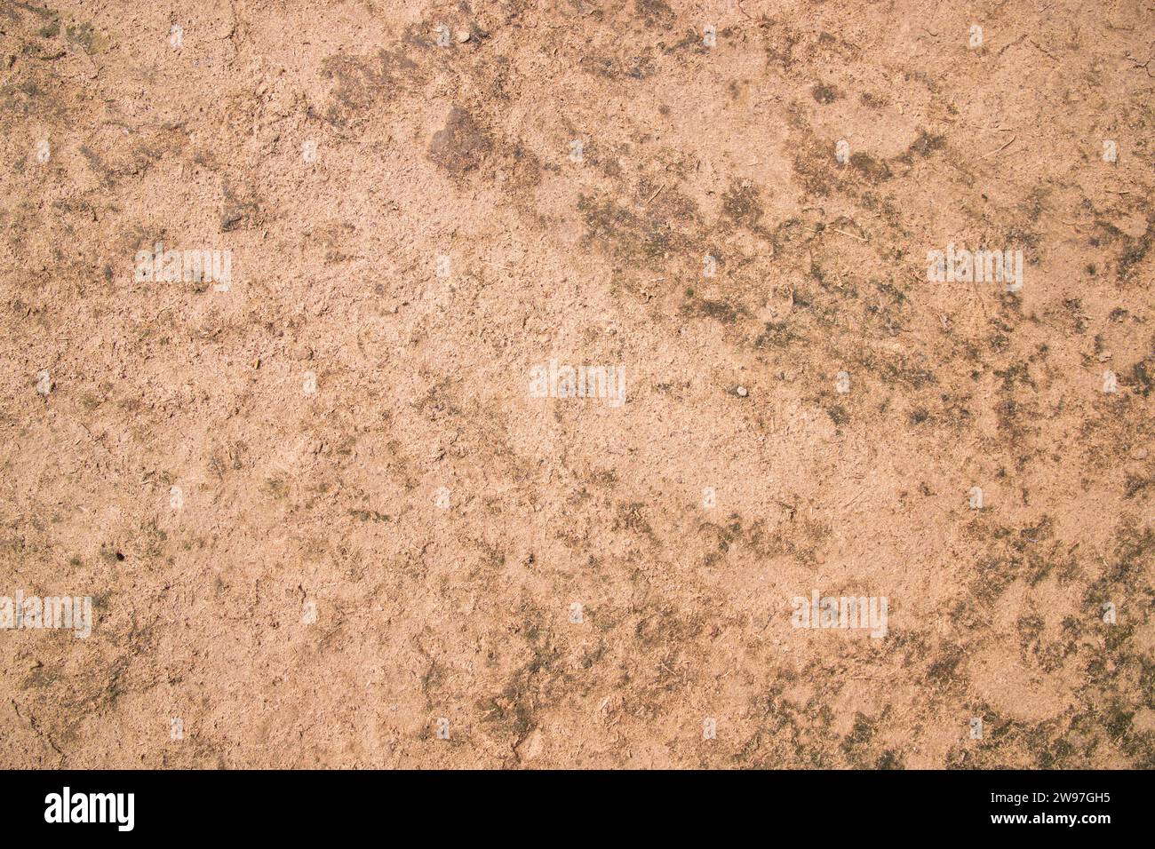 Cow Dung brown plaster of soil abstract Texture Background Countryside ...