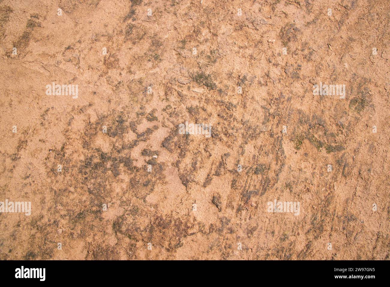 Cow Dung brown plaster of soil abstract Texture Background Countryside ...