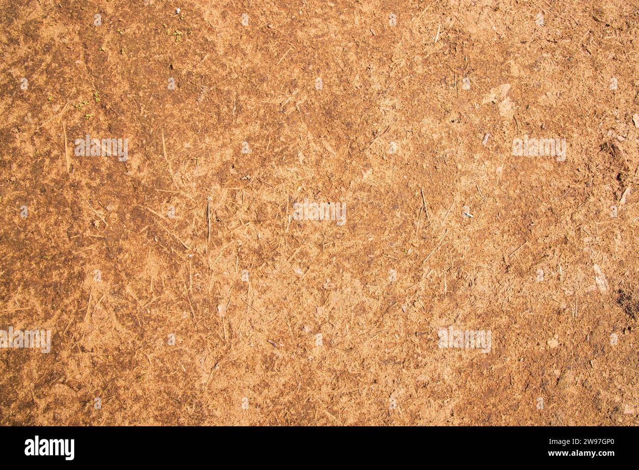 Cow Dung brown plaster of soil abstract Texture Background Countryside ...