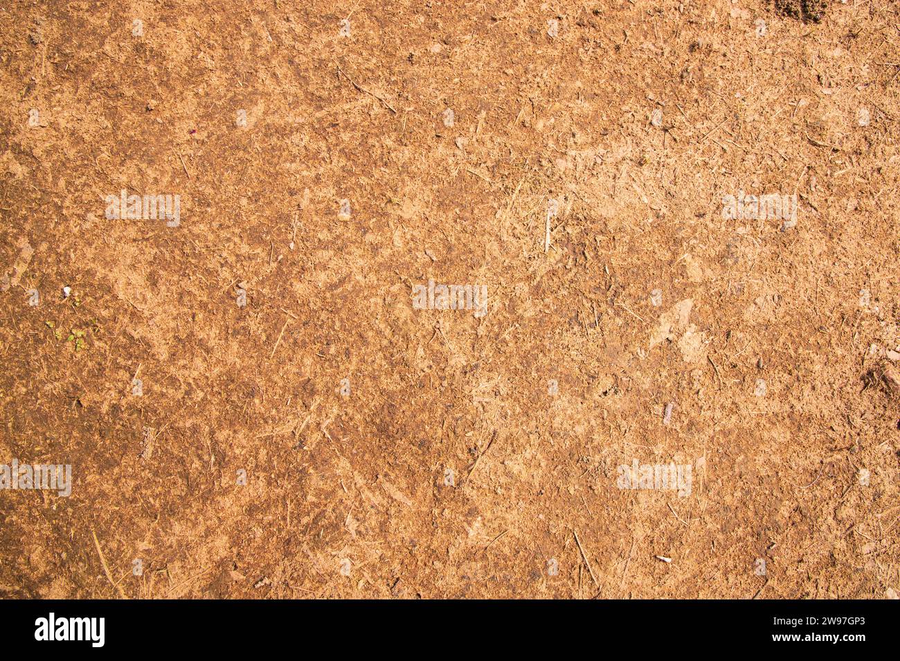 Cow Dung brown plaster of soil abstract Texture Background Countryside ...