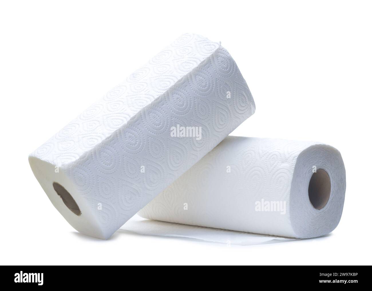 two rolls of long white tissue paper or napkin for use in toilet or ...