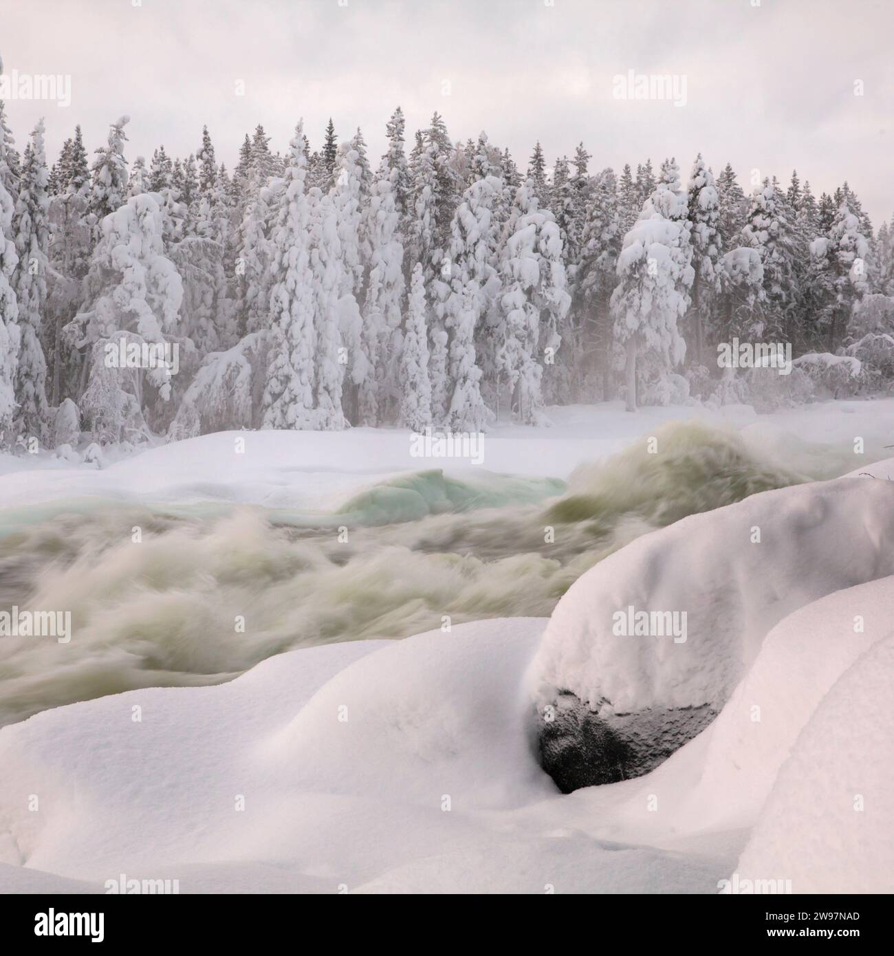 Cold winter morning, some mist. Rapids this side snowy and covered ...