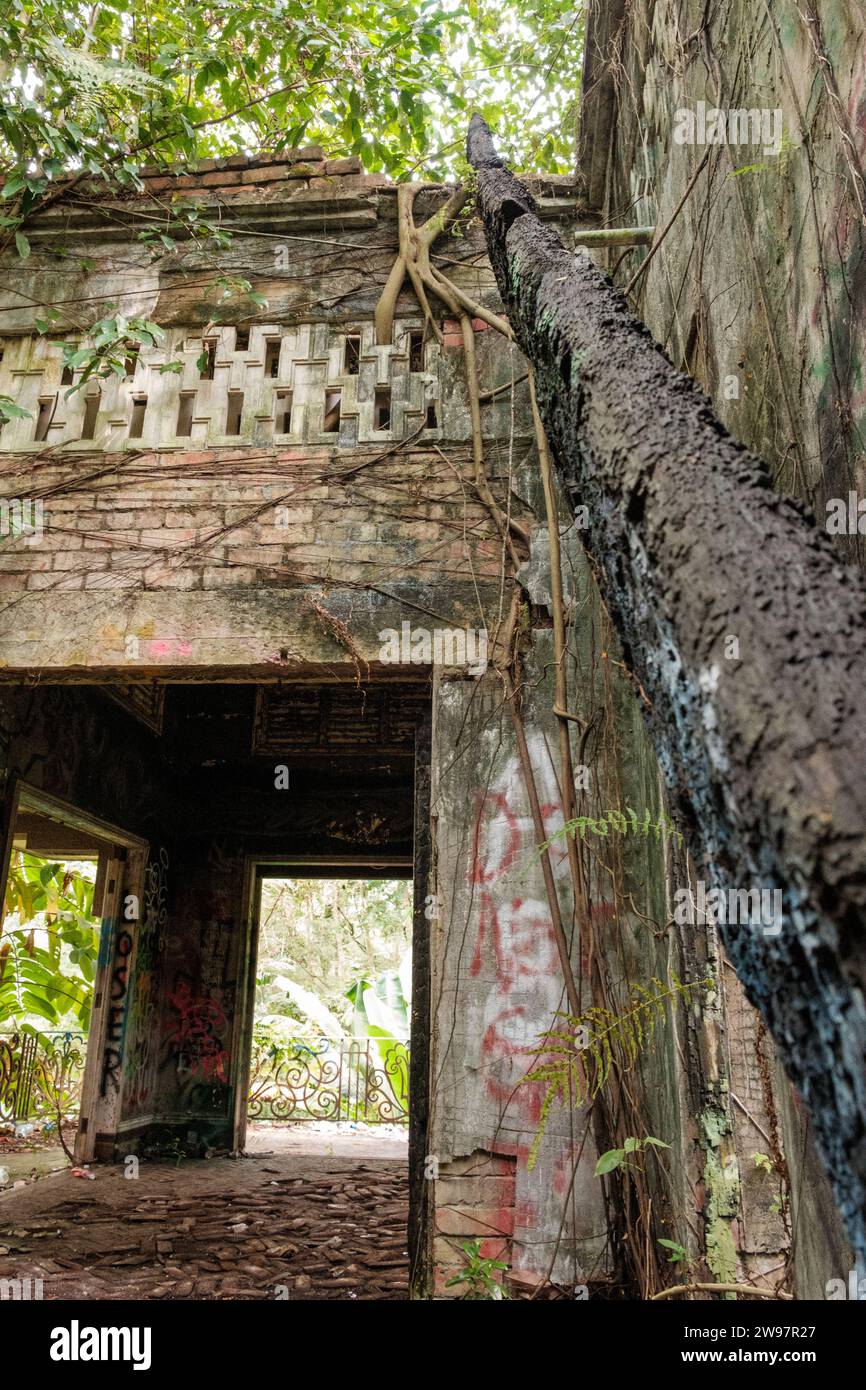 Abandoned Building Rooftop Wooden Log Stock Photo - Alamy
