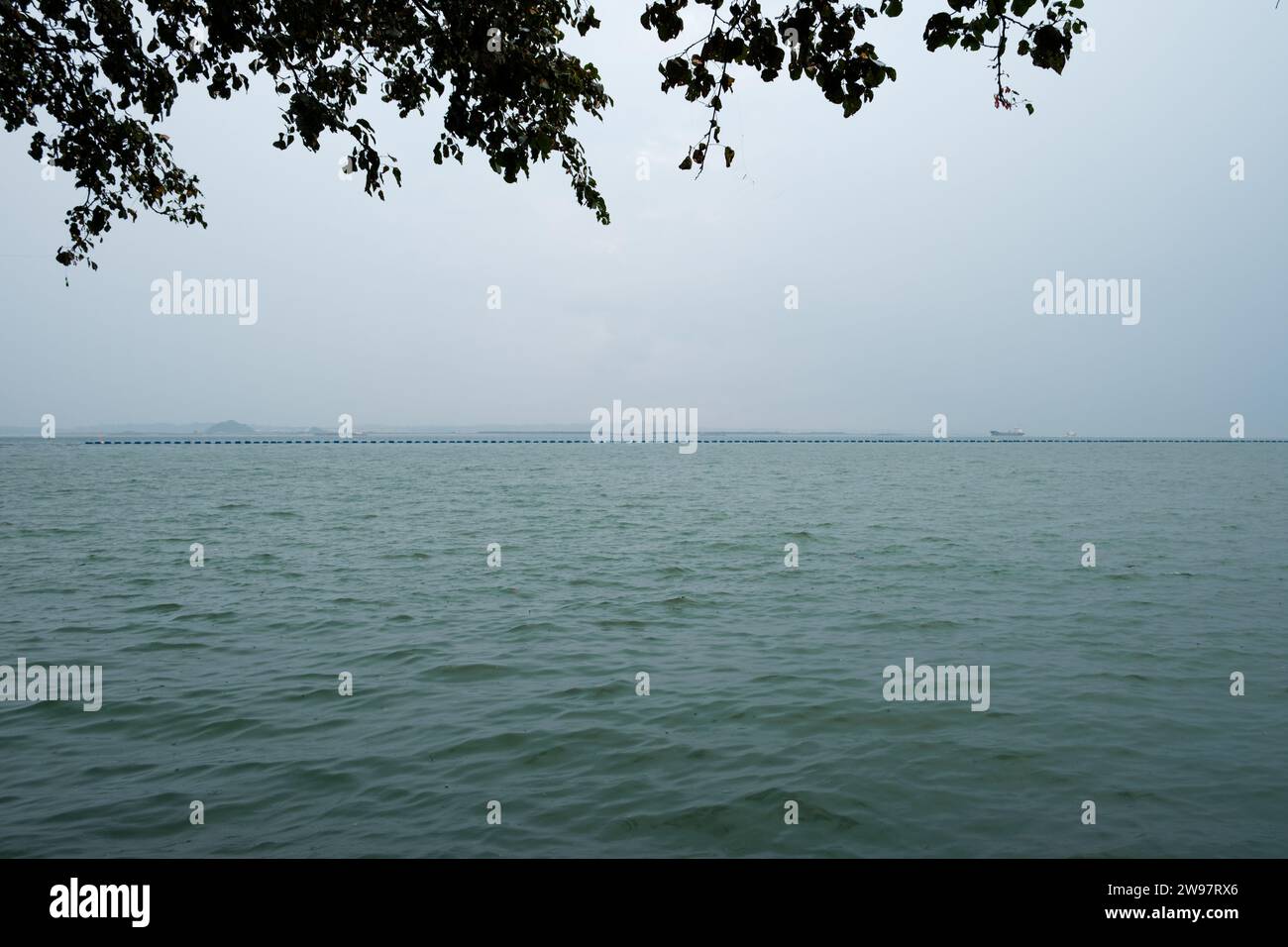 Greenish environment hi-res stock photography and images - Alamy