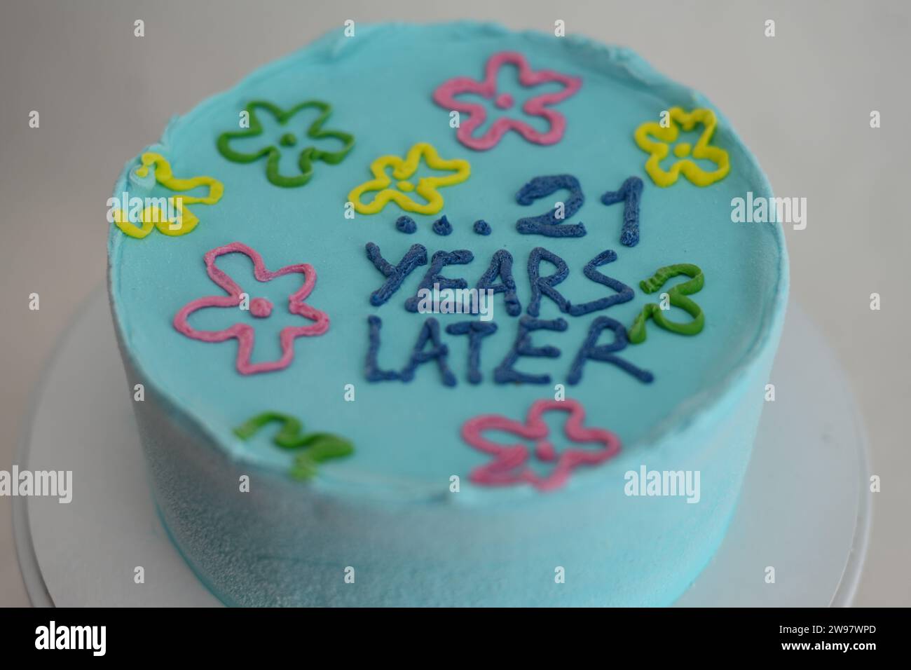 21 years old happy birthday pastel cyan turquoise frosted icing cake on ...