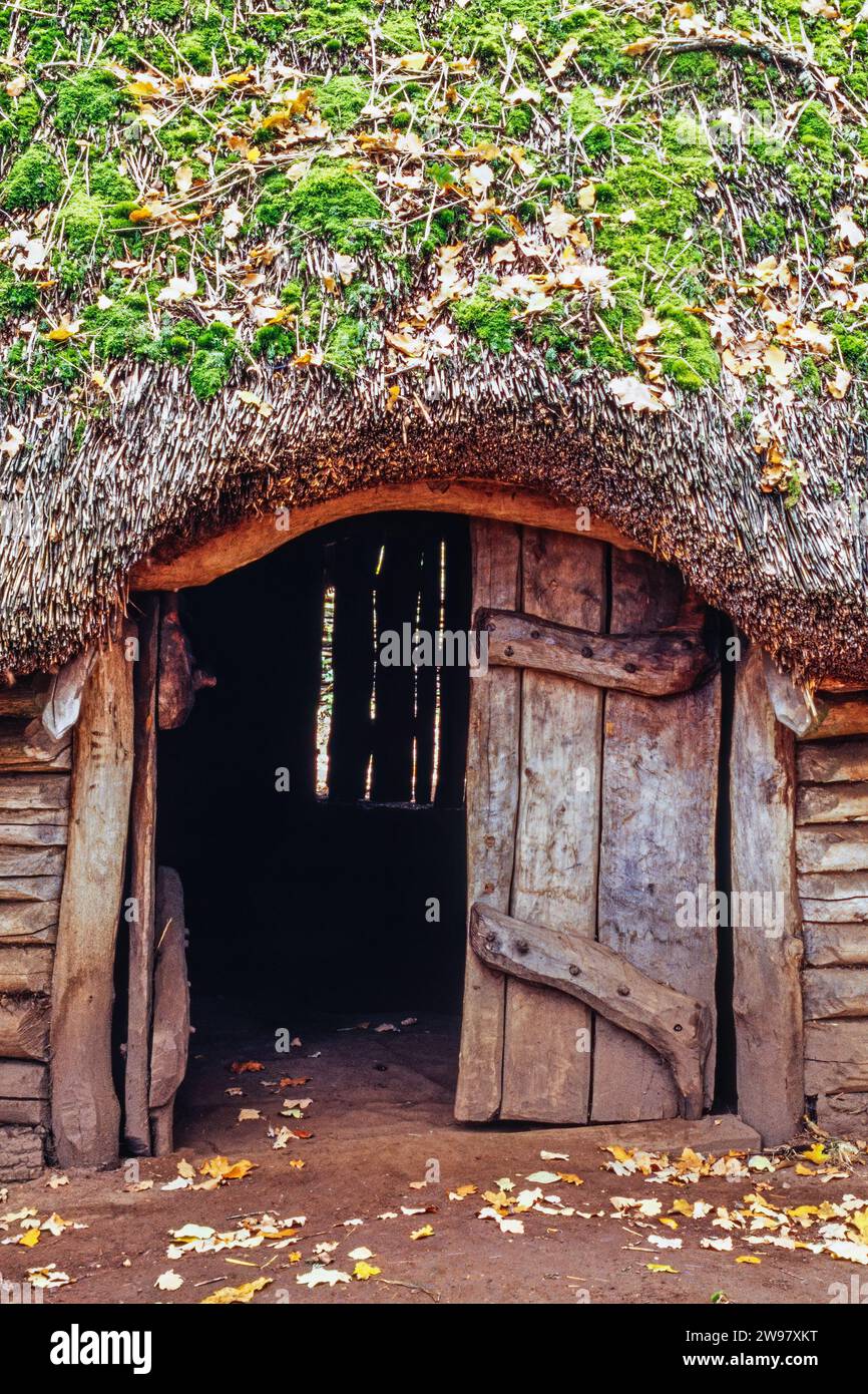 Open door to a longhouse with thatched roof Stock Photo - Alamy