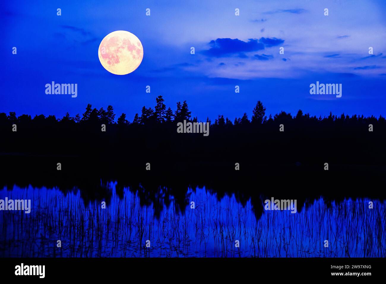 Sunset over night forest hi-res stock photography and images - Alamy