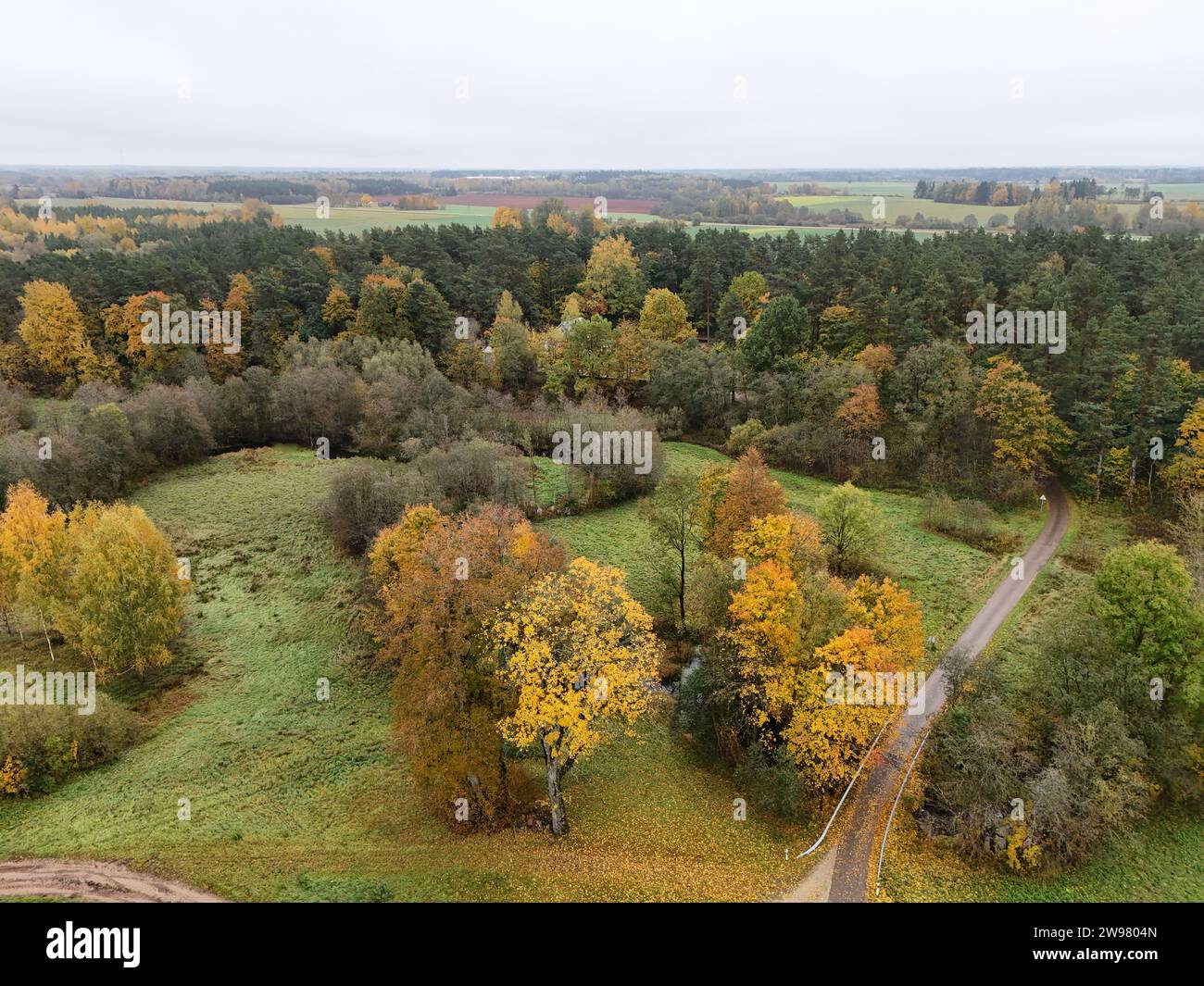 Aerial view green meadow trees hi-res stock photography and images - Alamy