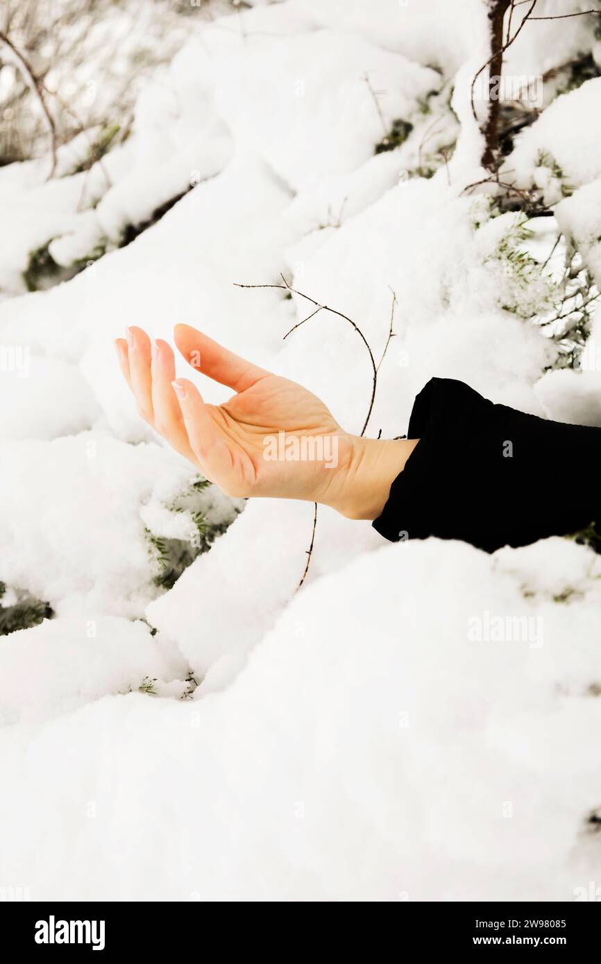 an arm sticking out from under the snow, an avalanche, a snowfall, a ...