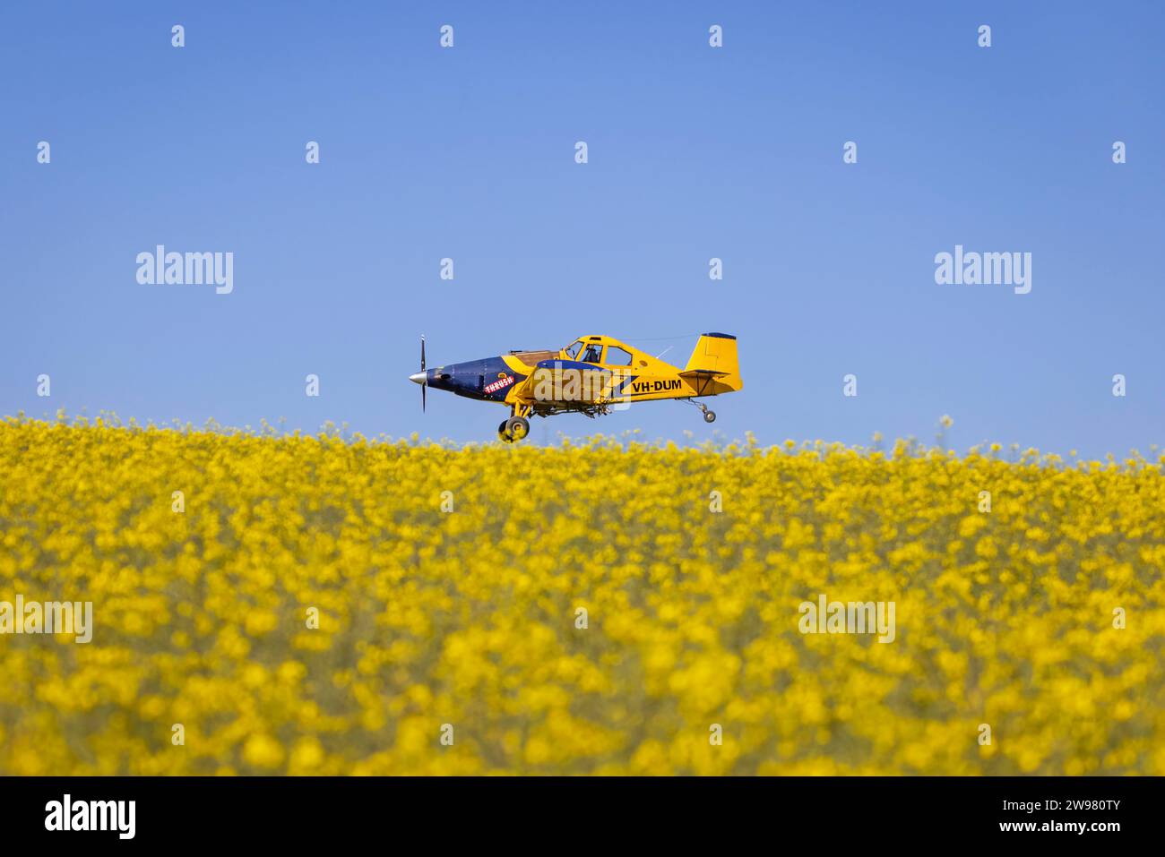 Warm colors hi-res stock photography and images - Alamy