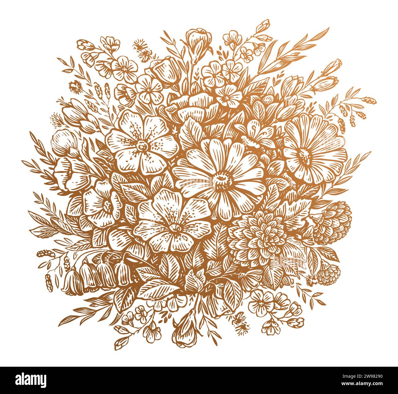 Botanical illustration vintage hi-res stock photography and images - Alamy