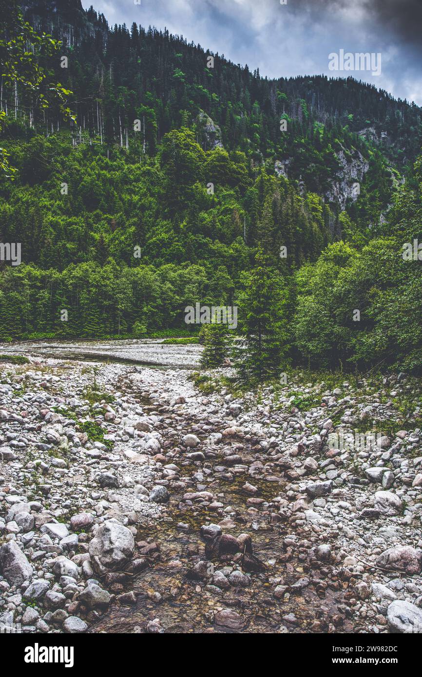 Waksmundzki hi-res stock photography and images - Alamy