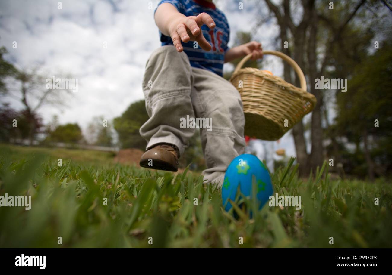 A young boy about to grab an easter egg, Newcastle, California Stock ...