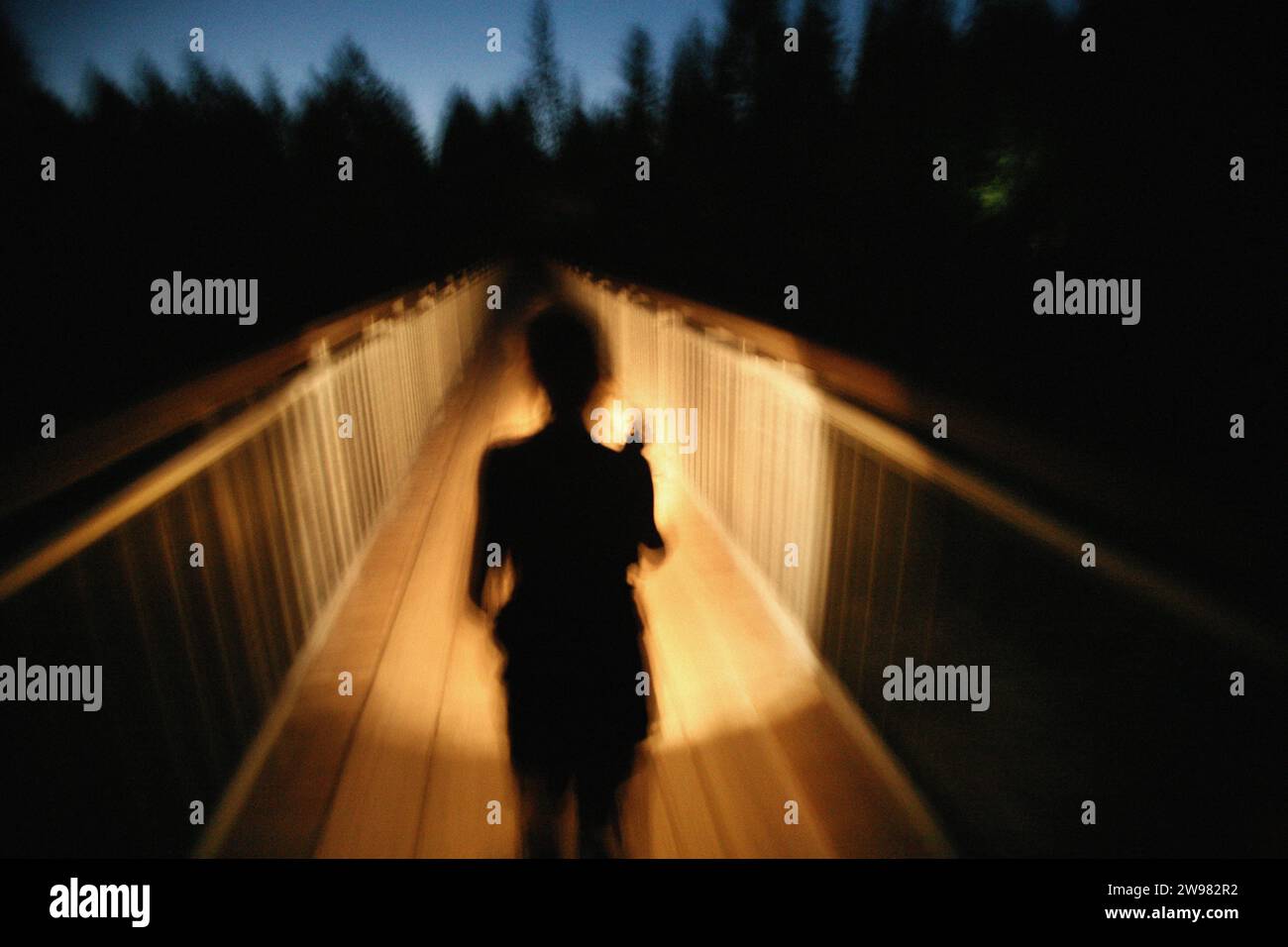 Woman flashlight trees hi-res stock photography and images - Alamy