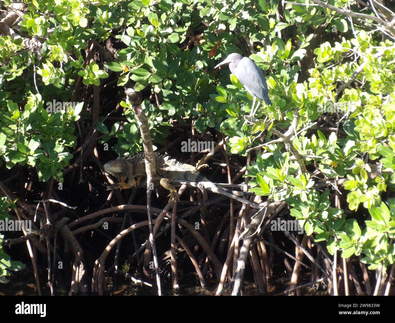 Large body water river hi-res stock photography and images - Alamy