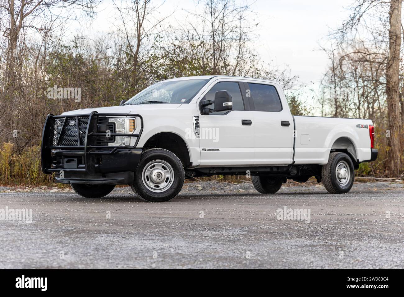 A white Ford pickup truck in a parking area with trees in the ...