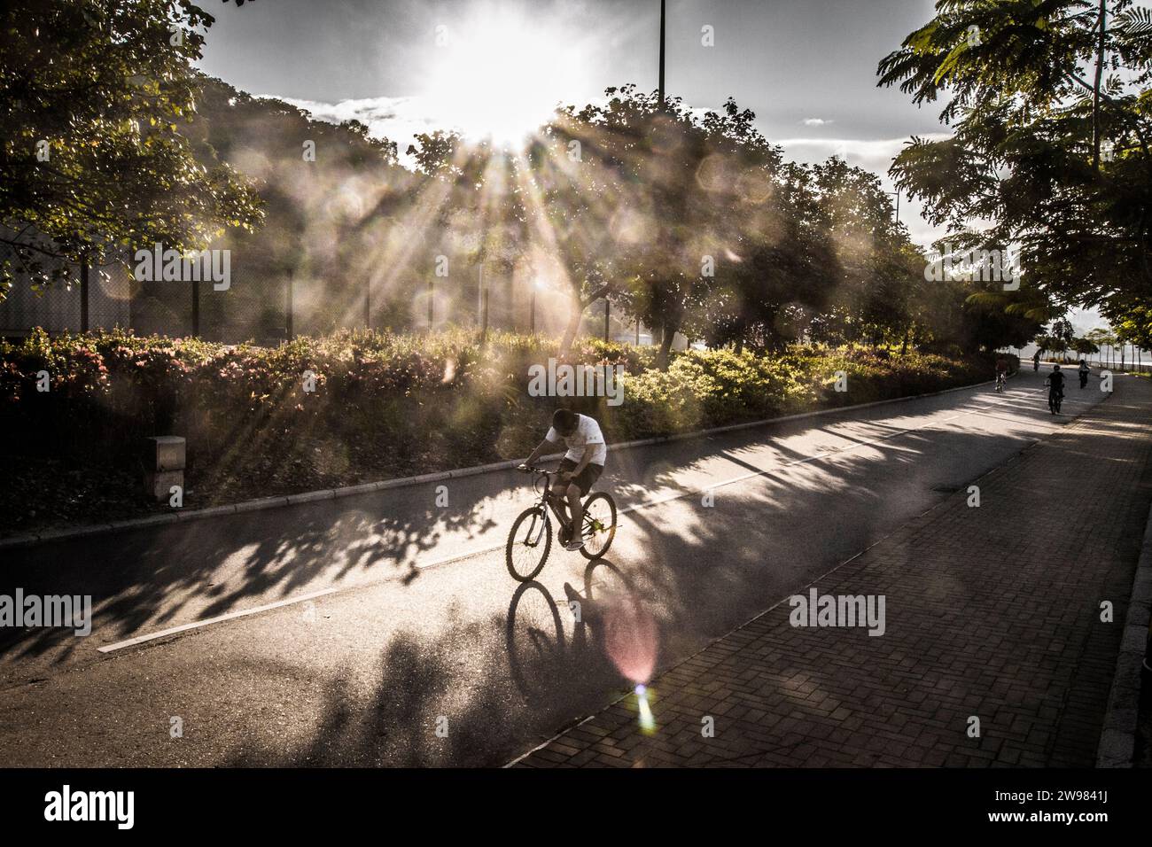 A cyclist riding along a pathway with lens flare Stock Photo - Alamy