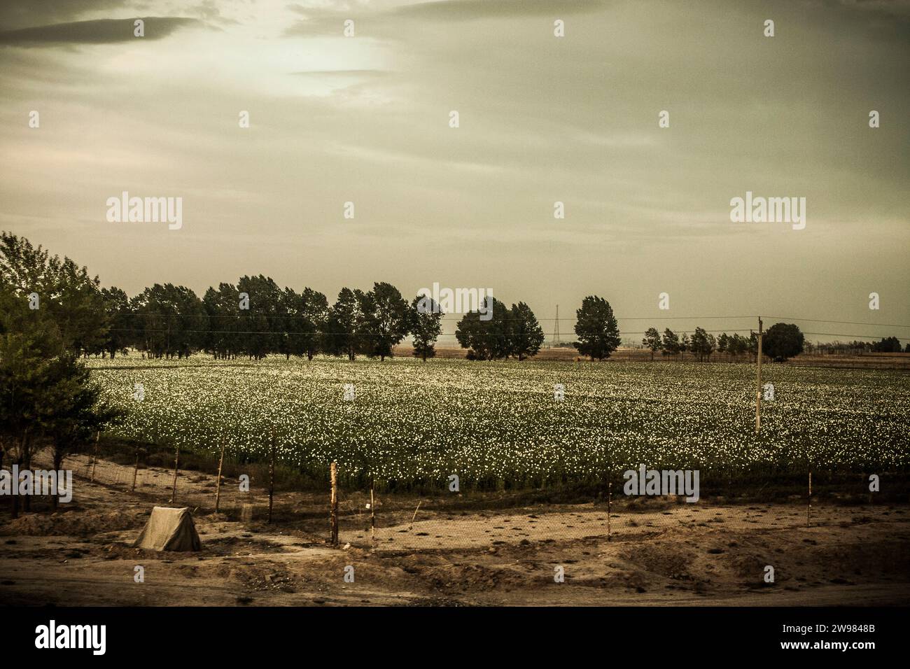 Countryside of Xinjiang province in western China Stock Photo - Alamy