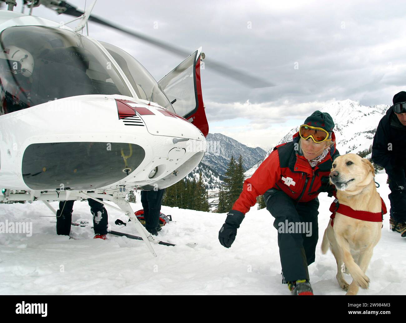 Helicopter rescue dog hi-res stock photography and images - Alamy
