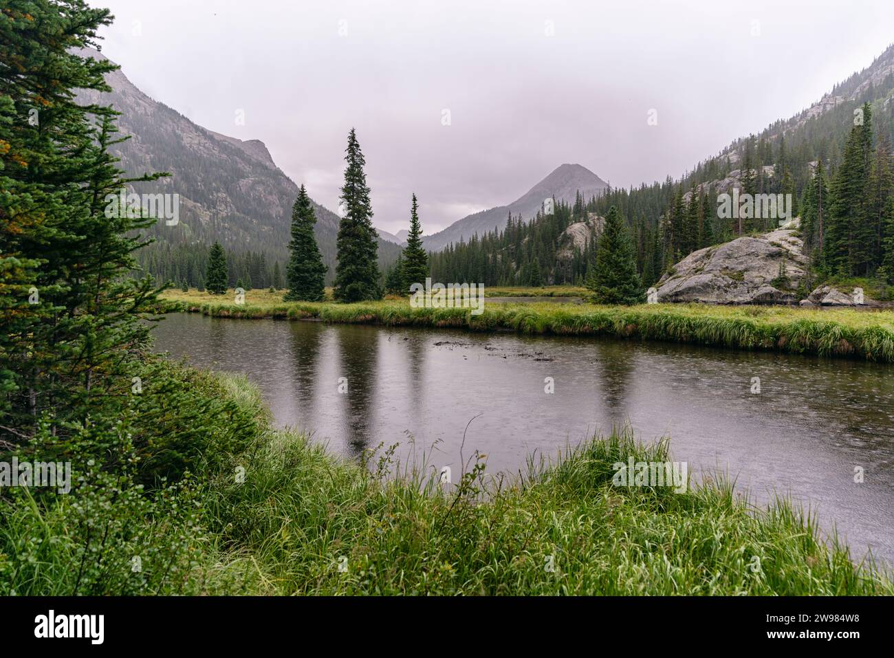 Trail in middle dense hi-res stock photography and images - Alamy