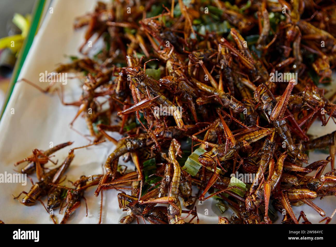 Deep fried grasshoppers at street food Stock Photo - Alamy