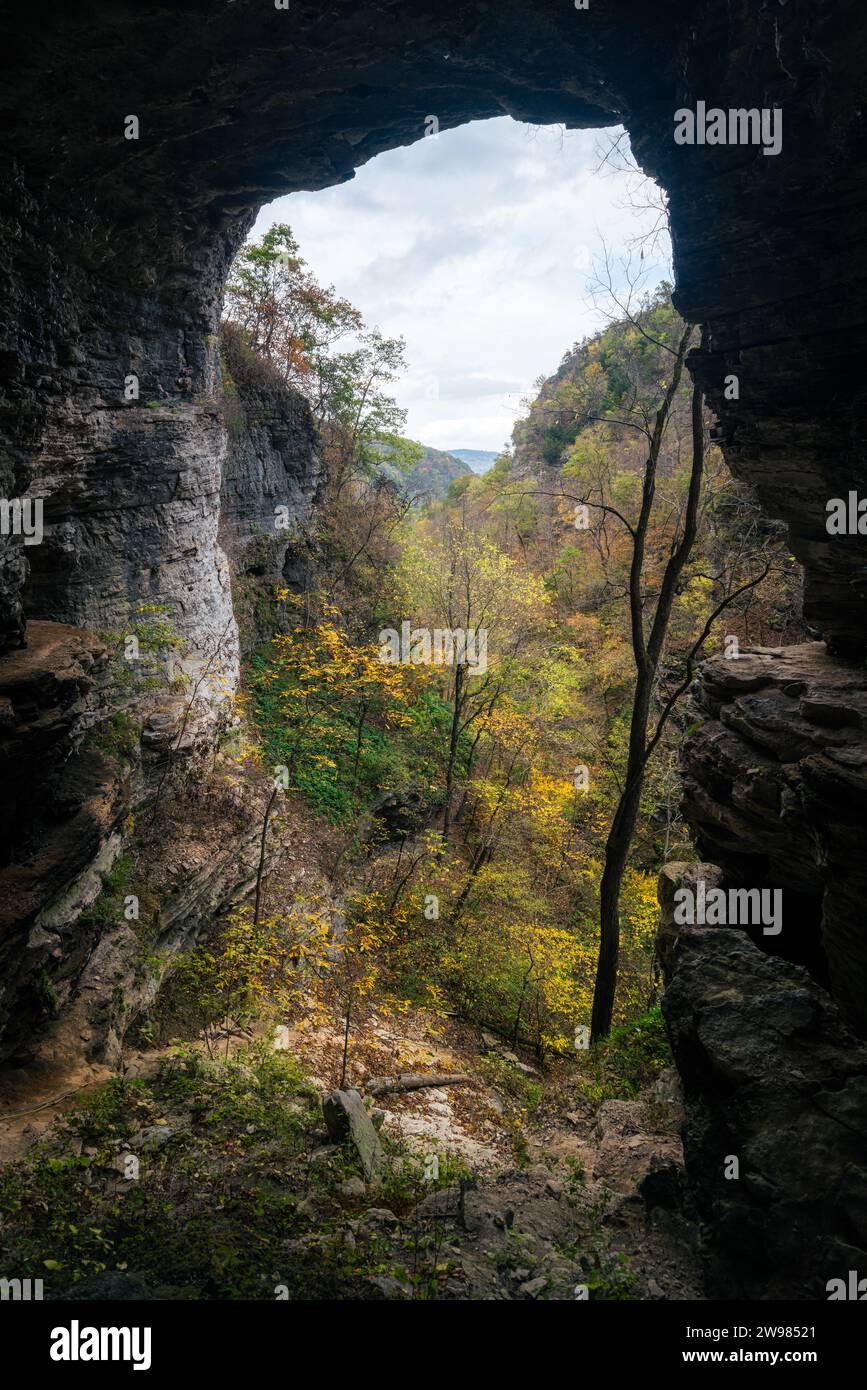 Cave view looking out towards fall foliage and Indian Creek Stock Photo ...