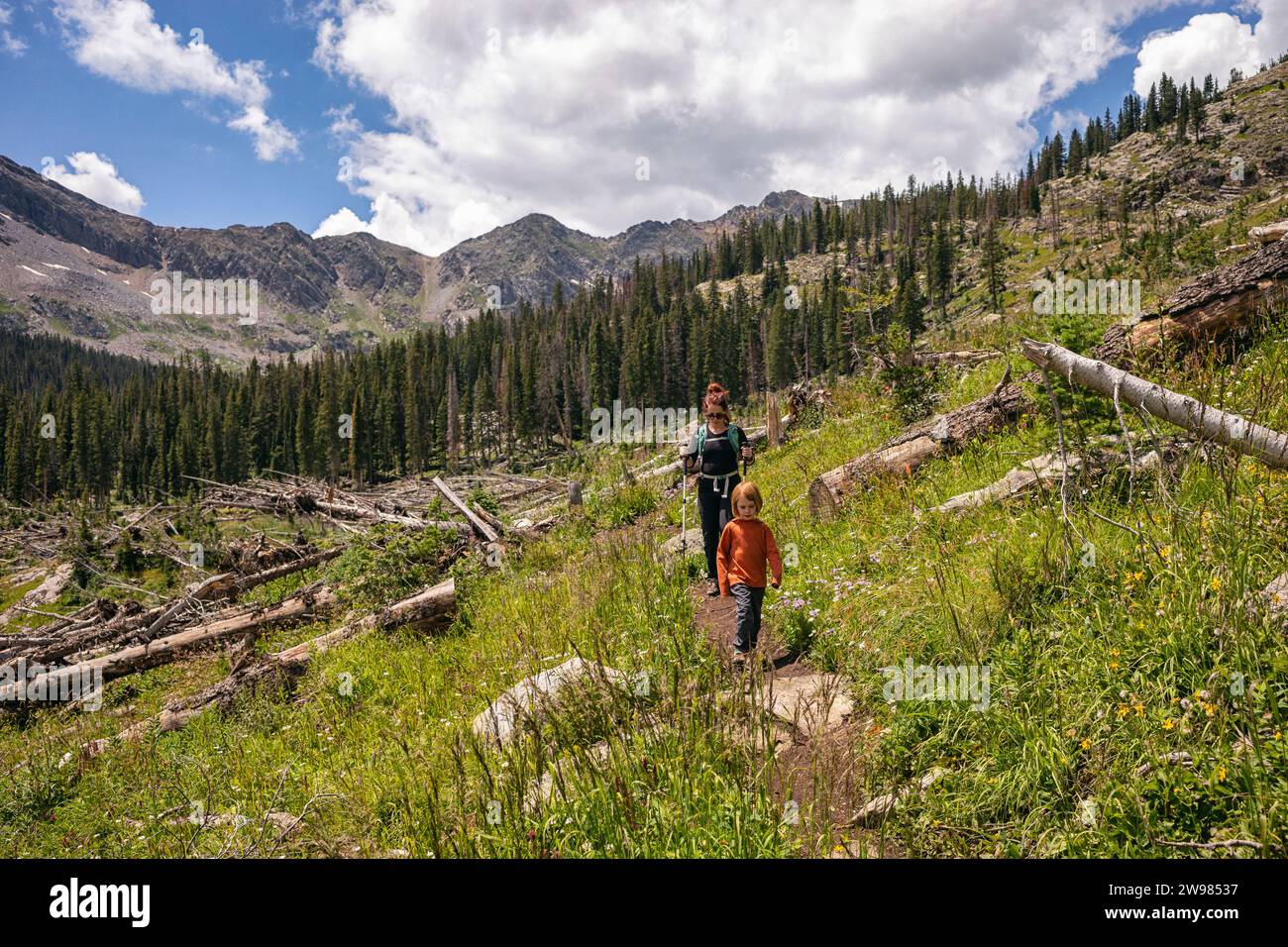 Holy cross wilderness trail colorado hi-res stock photography and ...
