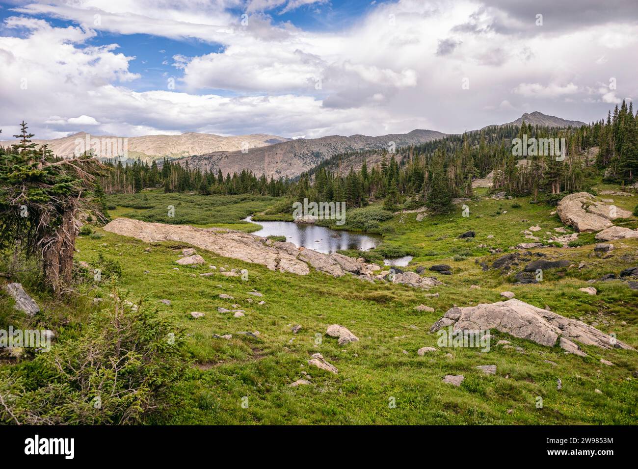 Landscape in the Holy Cross Wilderness, Colorado Stock Photo - Alamy