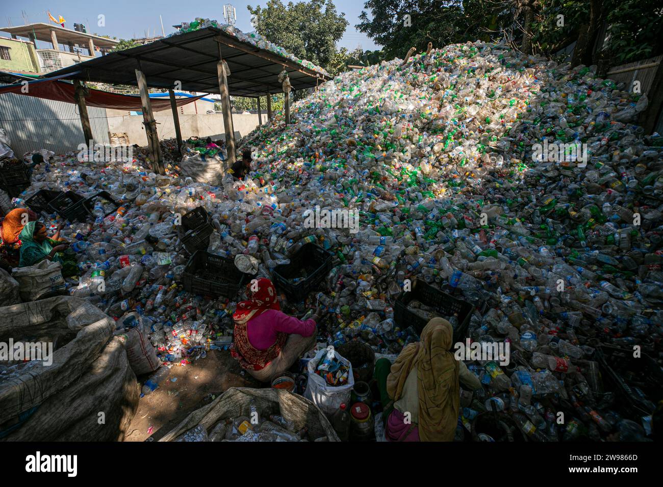 Workers sort used plastic bottles at a recycling factory. Recycle of ...