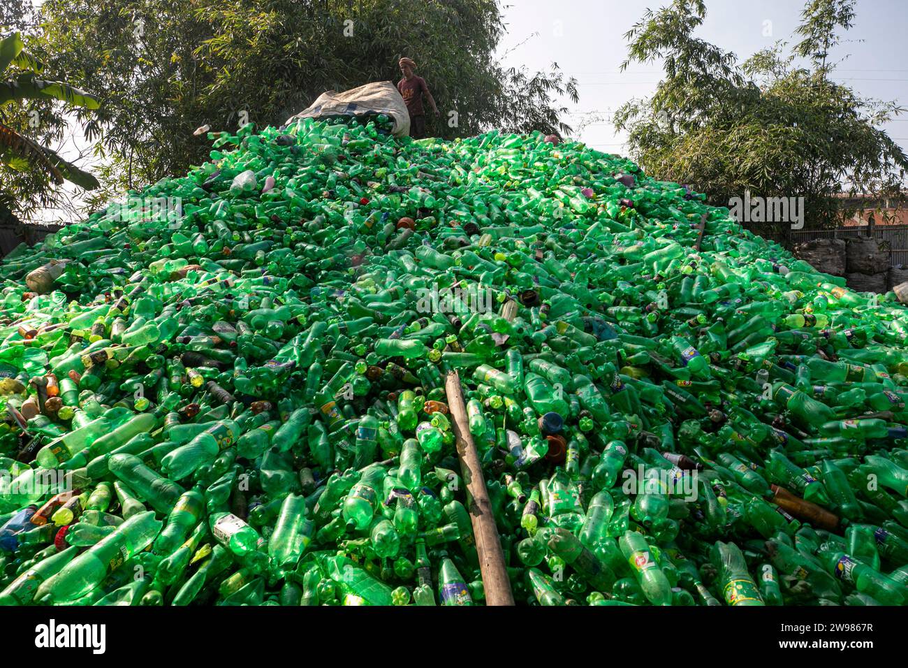 Workers sort used plastic bottles at a recycling factory. Recycle of ...