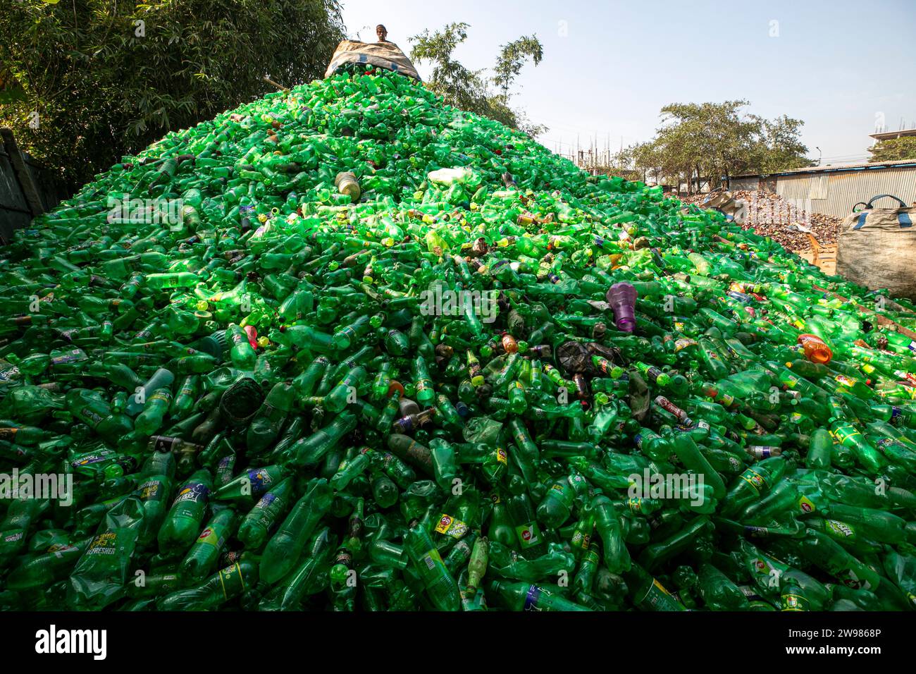 Workers sort used plastic bottles at a recycling factory. Recycle of ...