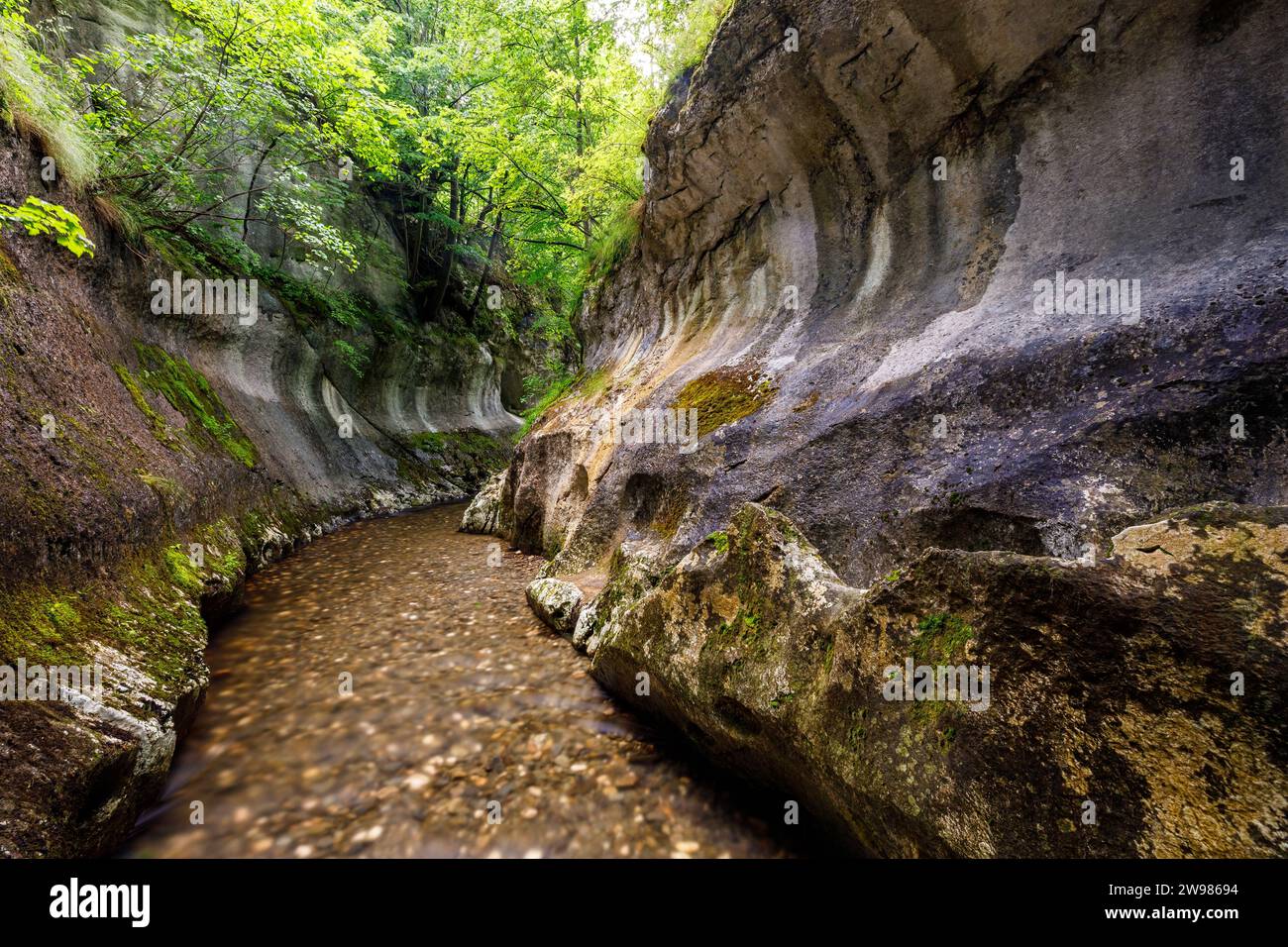 The Gorge of Chile Banitei at Hunedoara in Romania Stock Photo - Alamy