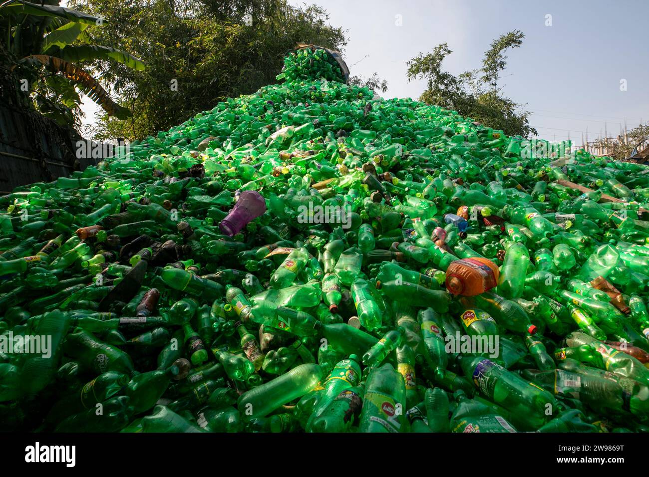 Workers sort used plastic bottles at a recycling factory. Recycle of ...