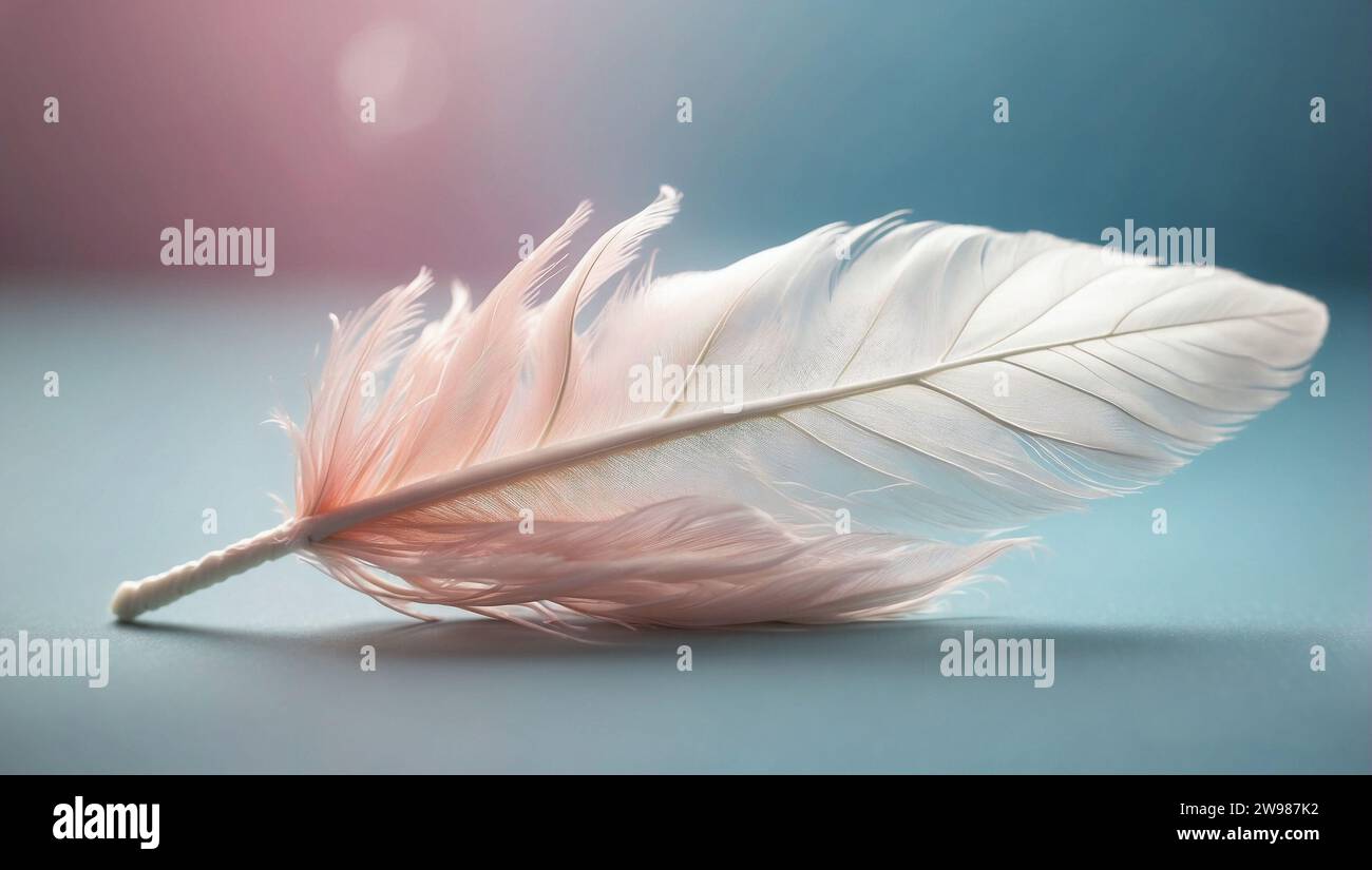 A single, soft feather stands out in a gentle dance, captured in an ...