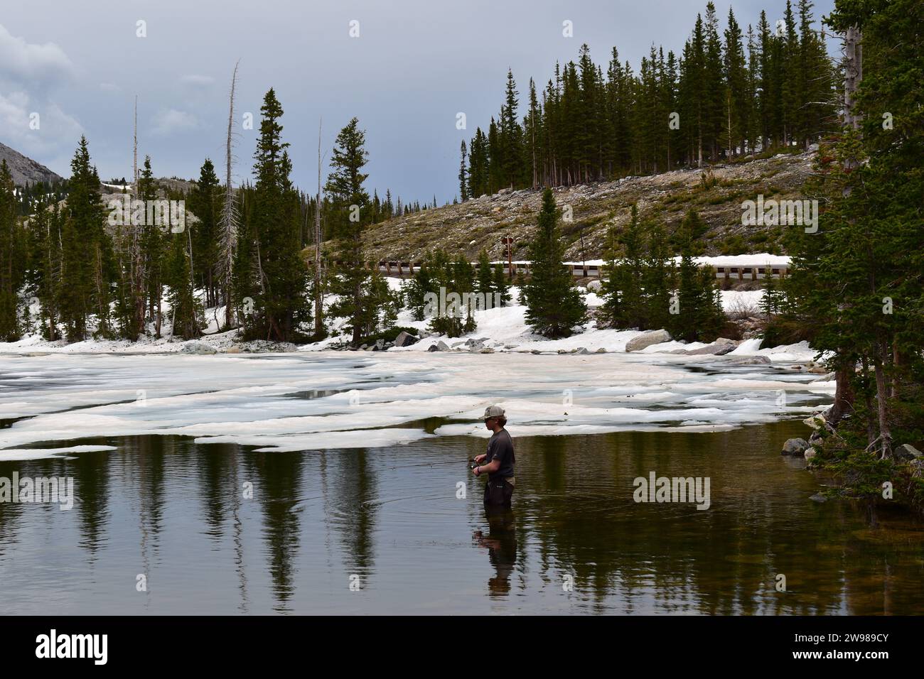 Man fishing in knee-deep water in Lake Marie Stock Photo - Alamy