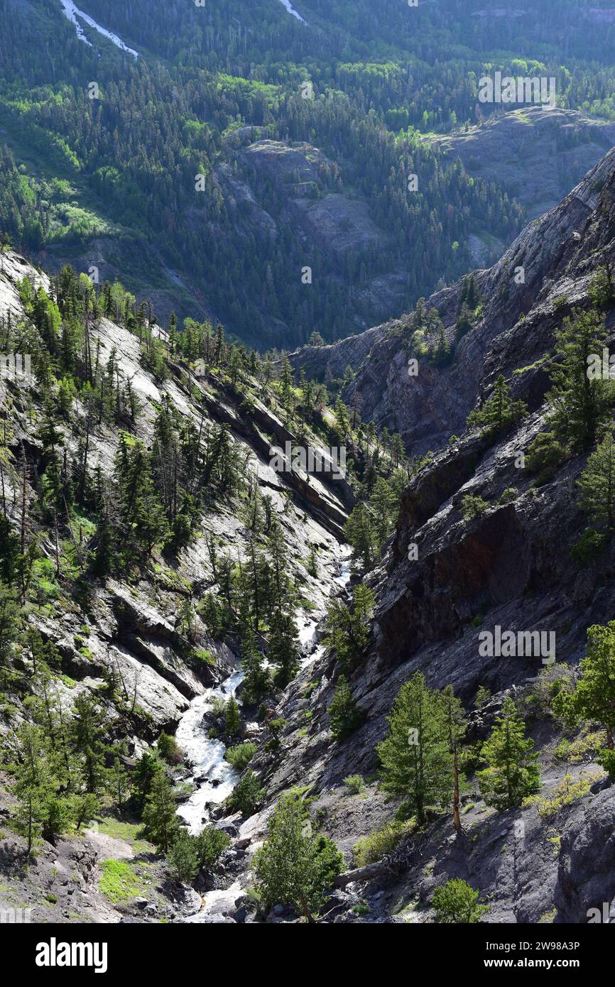 Scenic view of Bear Creek carving its path through the Rocky Mountains ...