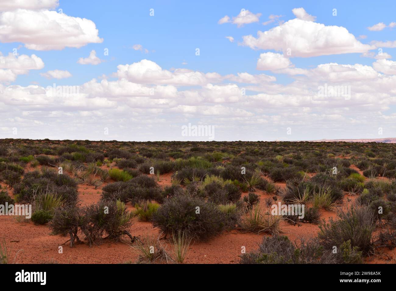 View of the infinitely flat landscape of the Northern Arizona desert ...
