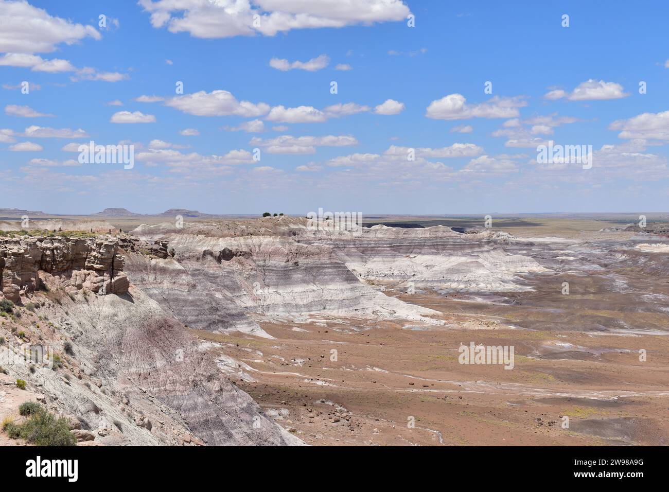 View of the colorful blue and purple mesa landscape in Petrified Forest ...