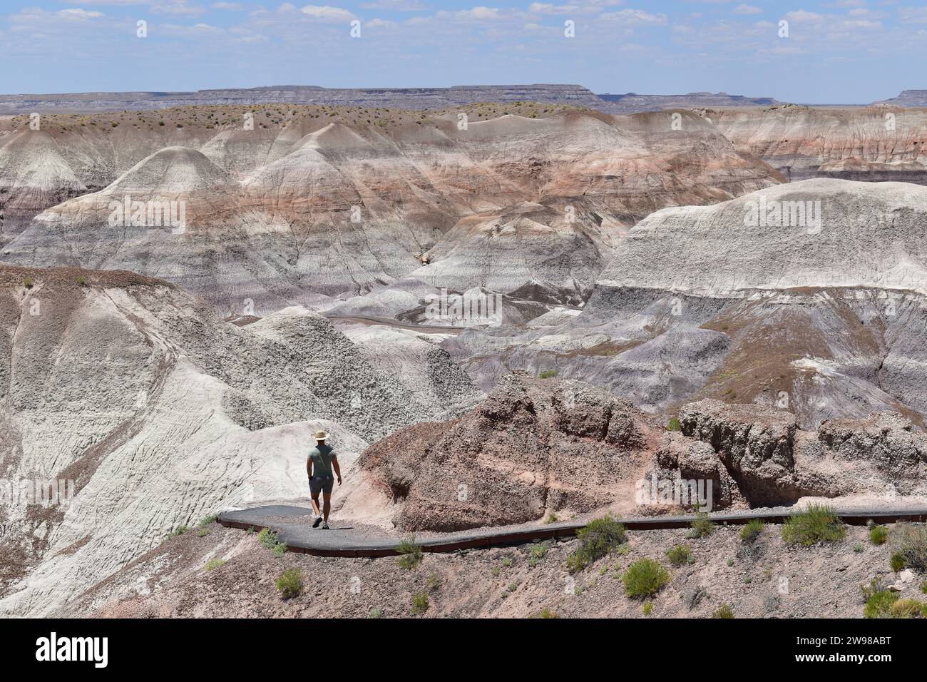 People hiking on the Blue Mesa Trail in the colorful landscape of blue ...
